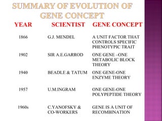 Concept of gene | PPT