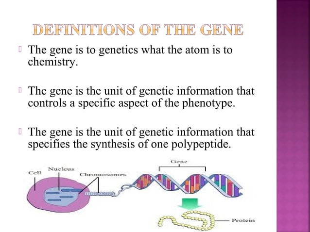 Concept of gene | PPT | Genetics | Science