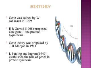 Concept of gene | PPT