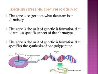 Gene Definition