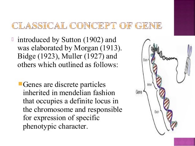 Concept of gene