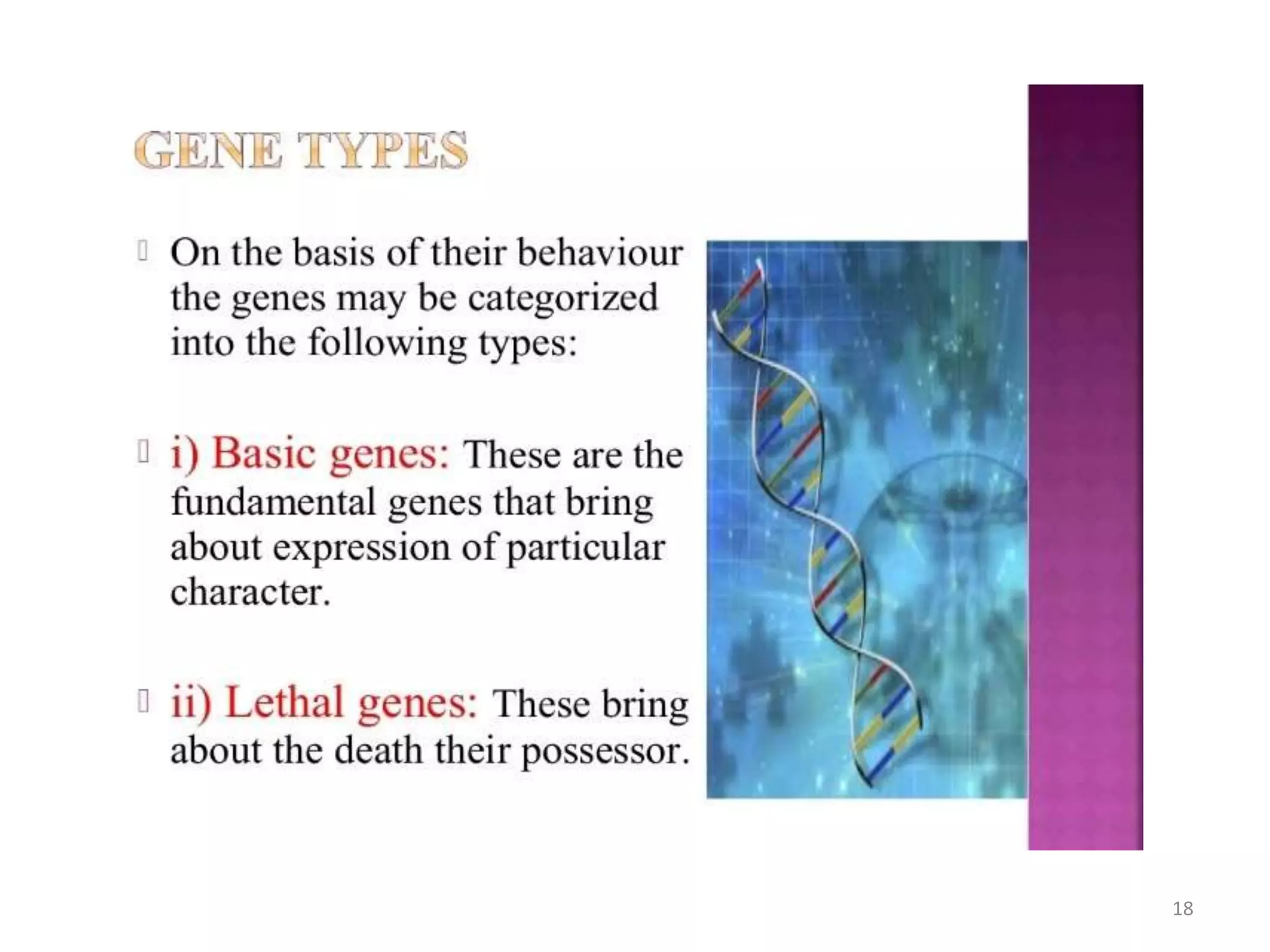 Concept of gene & ultra structure of gene | PPTX