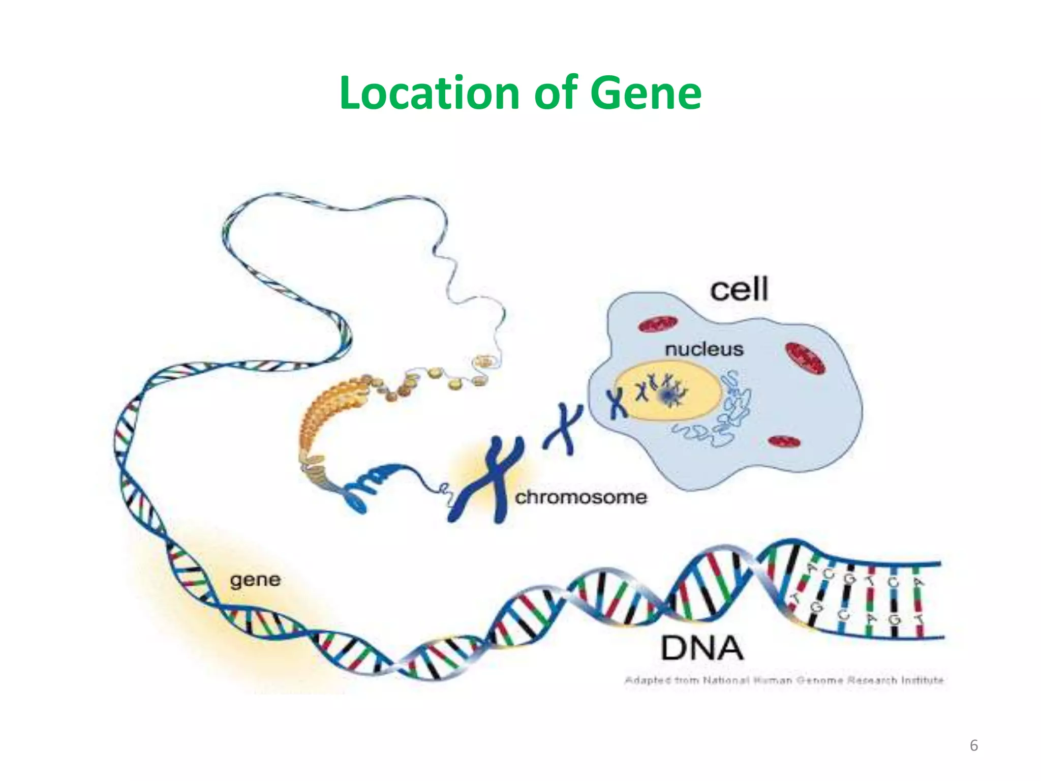 Concept of gene & ultra structure of gene | PPTX