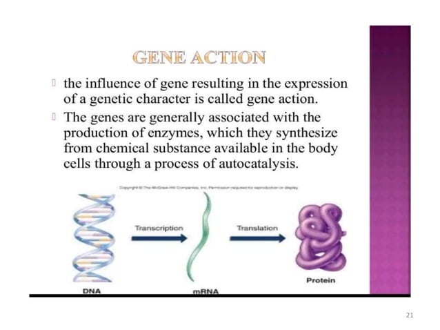 Concept of gene & ultra structure of gene | PPTX