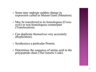 Concept of gene & ultra structure of gene | PPTX
