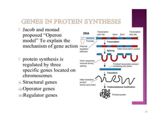 Concept of gene & ultra structure of gene | PPTX