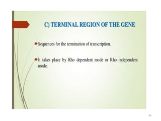 Concept of gene & ultra structure of gene | PPTX