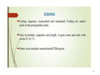 Concept of gene & ultra structure of gene | PPTX