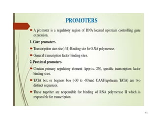 Concept of gene & ultra structure of gene | PPTX