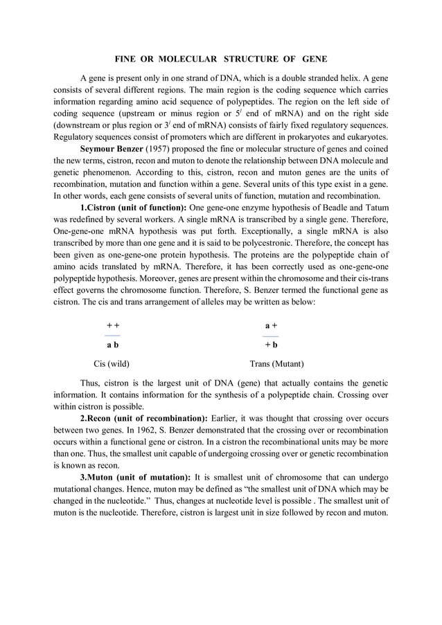 Concept of Gene.pdf | Genetics | Science