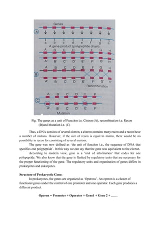 Concept of Gene.pdf