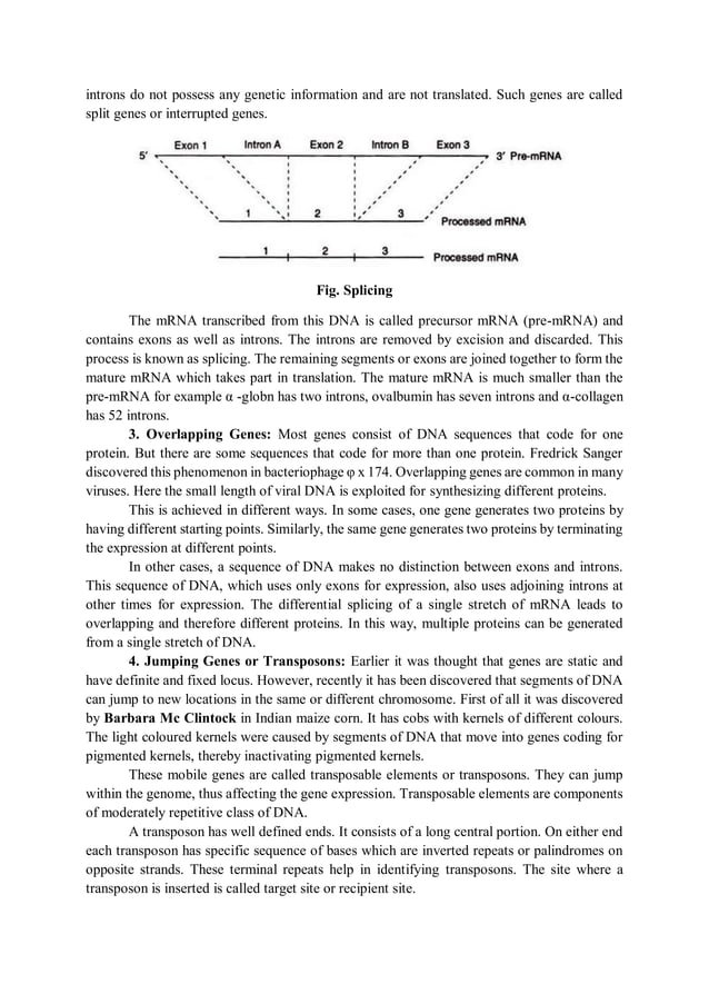 Concept of Gene.pdf | Genetics | Science