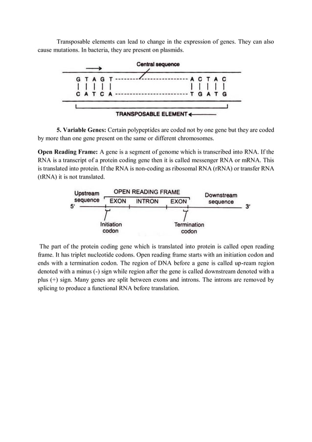 Concept of Gene.pdf | Genetics | Science
