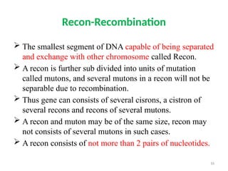 CONCEPT OF GENE EXPLAINED IN DETAIL WITH DIAGRAMS | PPTX