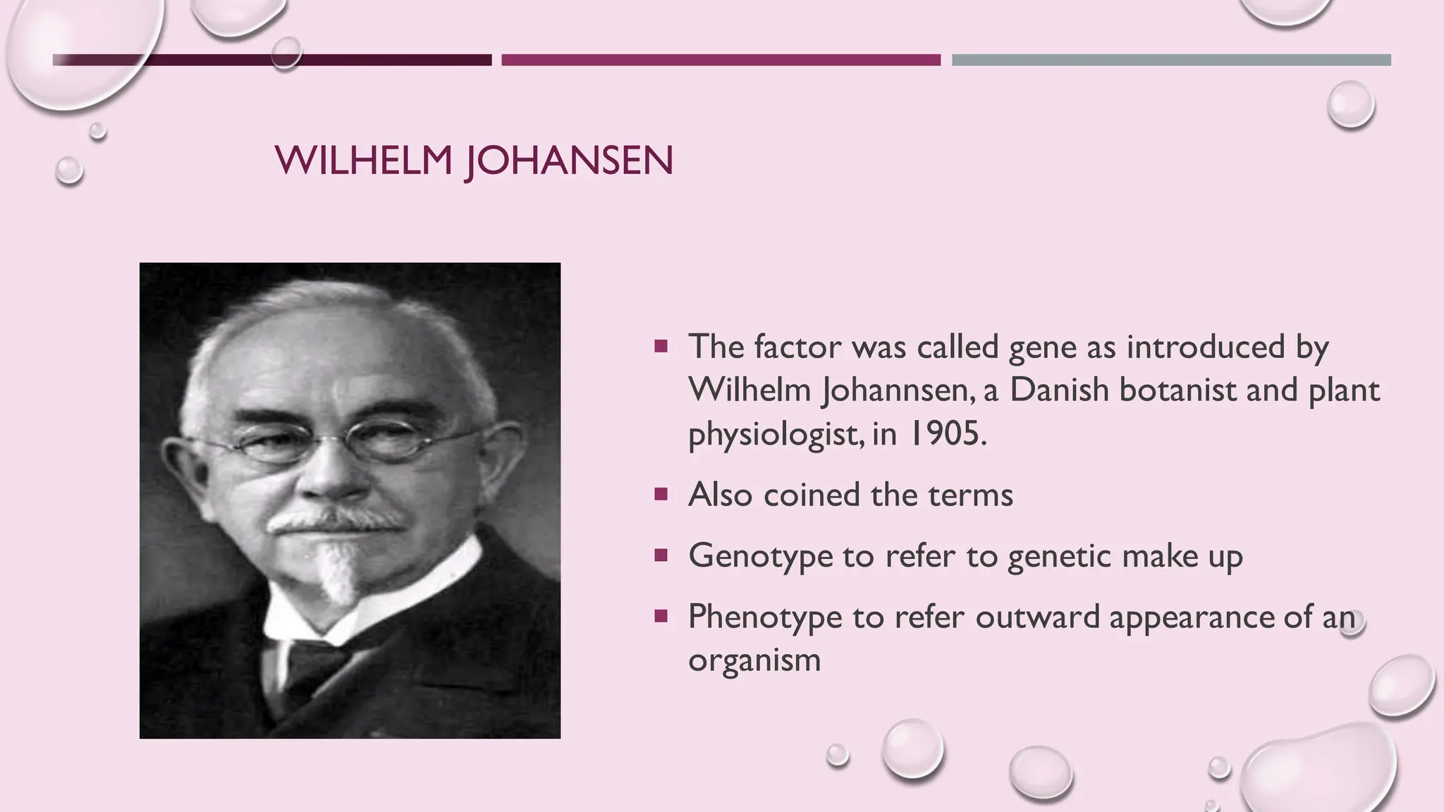 Concept of gene and Complementation test.pdf