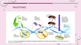 Concept of gene and Complementation test.pdf