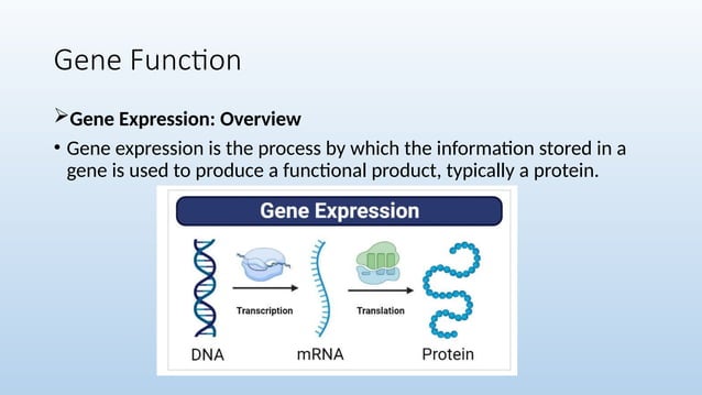 concept of genes.pptx..................... | PPT