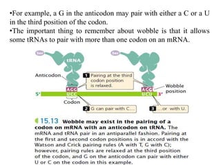 Concept of genetic code and its properties | PPTX