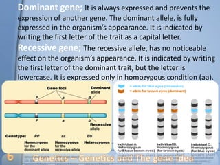 Concept_of_genetics_and_Mendel Gregor.pptx