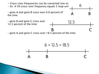 Concept of genome mapping | PPTX