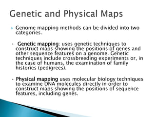 Concept of genome mapping | PPTX | Genetics | Science