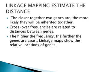 Concept of genome mapping | PPTX | Genetics | Science