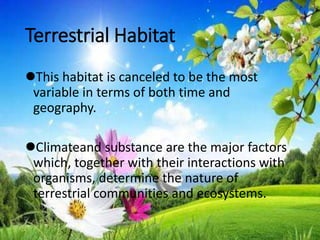 Concept of habitat | PPTX