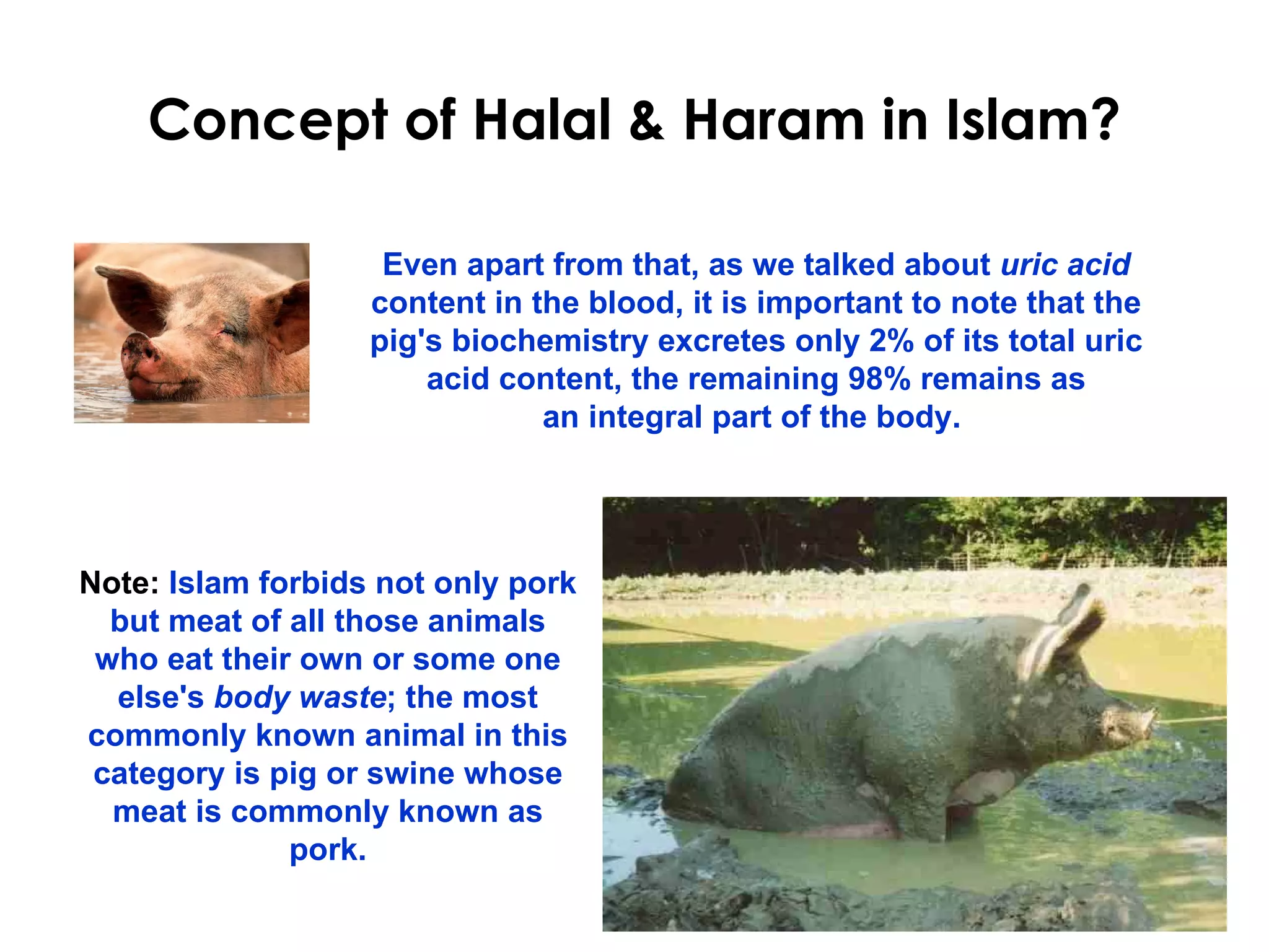 Concept of halal & haram in islam | PPS
