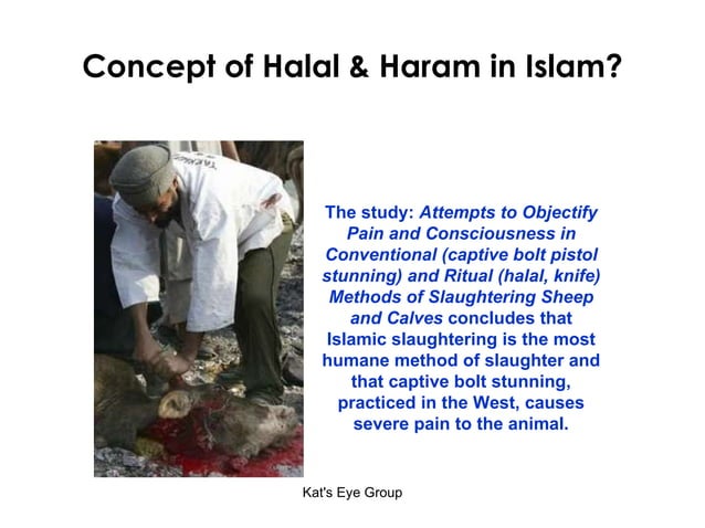 Concept of halal & haram in islam | PPS