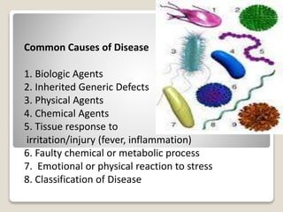 Concept of illness and chronic illness | PPTX