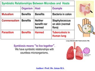 Concept of Infection xddfddfssdstfsfysyd if ysdysydysf | PPT