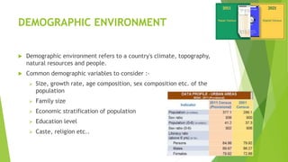 Concept of international business environment | PPTX
