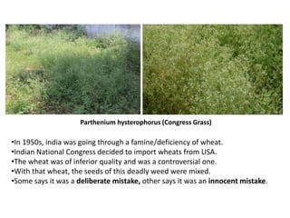 The Concept of Invasive Species in conservation biology.pptx