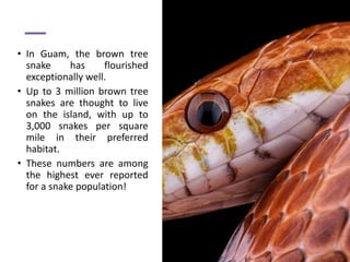 The Concept of Invasive Species in conservation biology.pptx