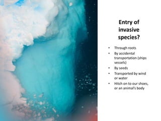 The Concept of Invasive Species in conservation biology.pptx