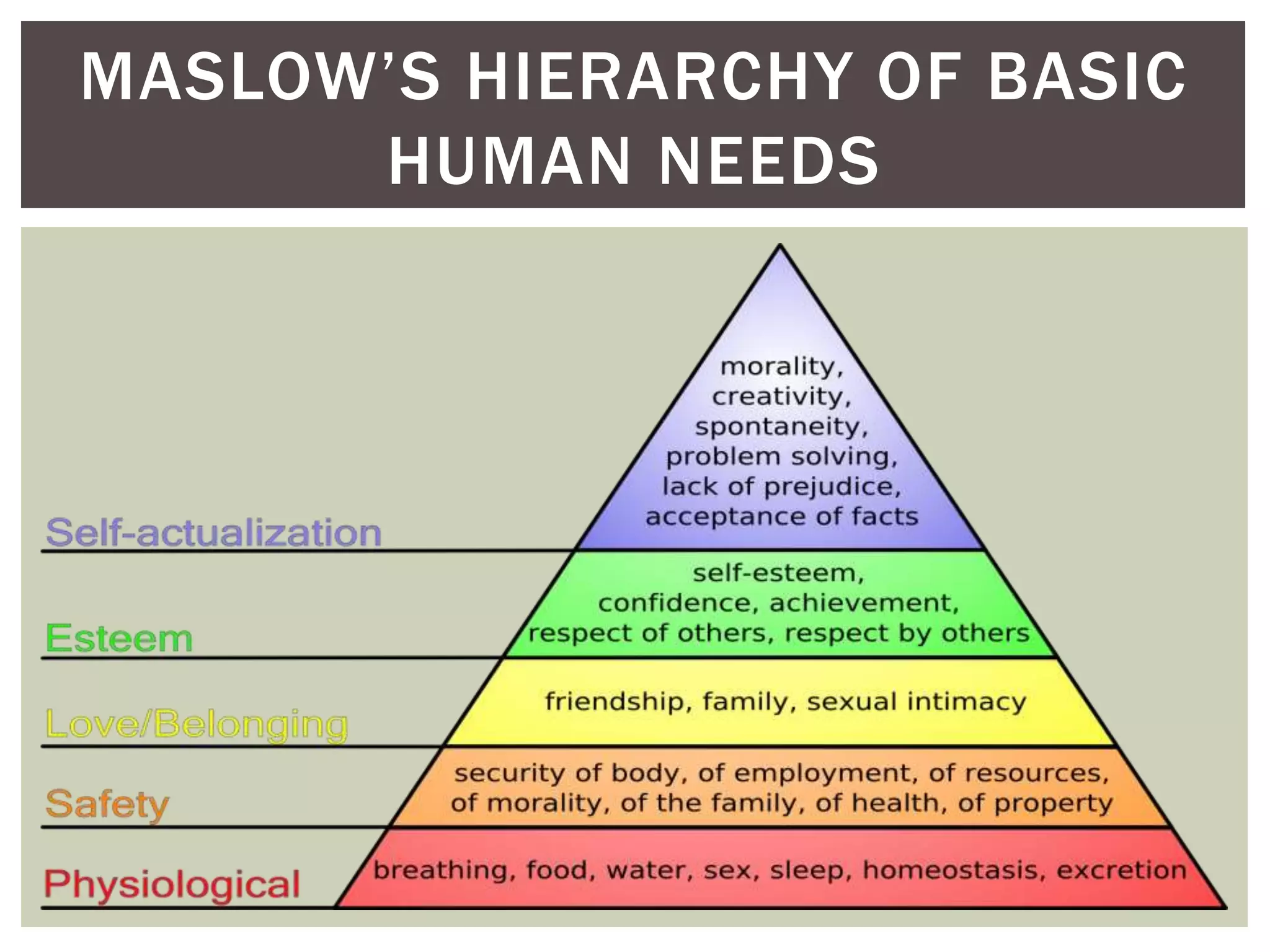 Concept of Man | PPTX