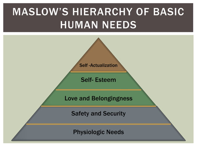 Concept of Man | PPTX