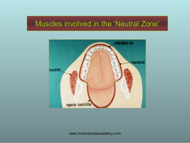 Concept of neutral zone/ dental seminars