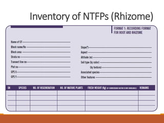 Concept of NTFPs resources Inventory-Nepal - Copy.ppt