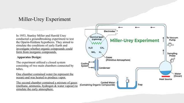 concept of oparin's ,Haldane's and Miller-Urey experiment.pptx