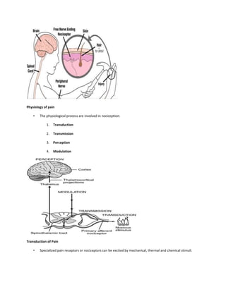 Concept Of Pain.docx