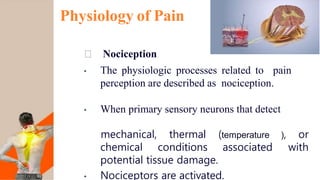 Concept of Pain, pain & the process of pain (physiological changes) | PDF