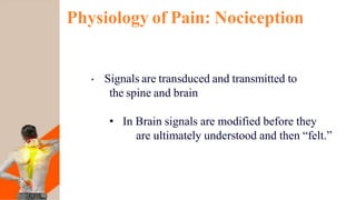 Concept of Pain, pain & the process of pain (physiological changes) | PDF