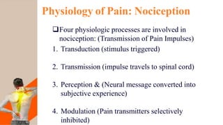Concept of Pain, pain & the process of pain (physiological changes) | PDF