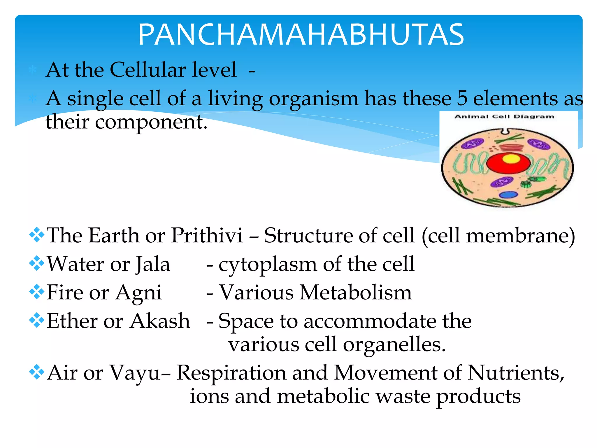 Concept of Panchamahabhutas and their relation to Naturopathy and Yoga ...