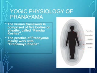 CONCEPT OF PRANAYAMA IN HATHAPRADIPIKA.ppt