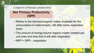 Concept of productivity | PPTX