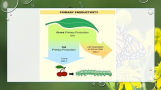 Concept of productivity | PPTX