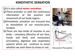 Kinesthesis Sense
