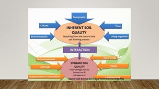 concept of soil quality & soil health.pptx
